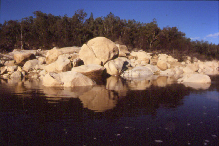 Copeton Dam - Inverell. NSW. Sweetwater Fishing Australia